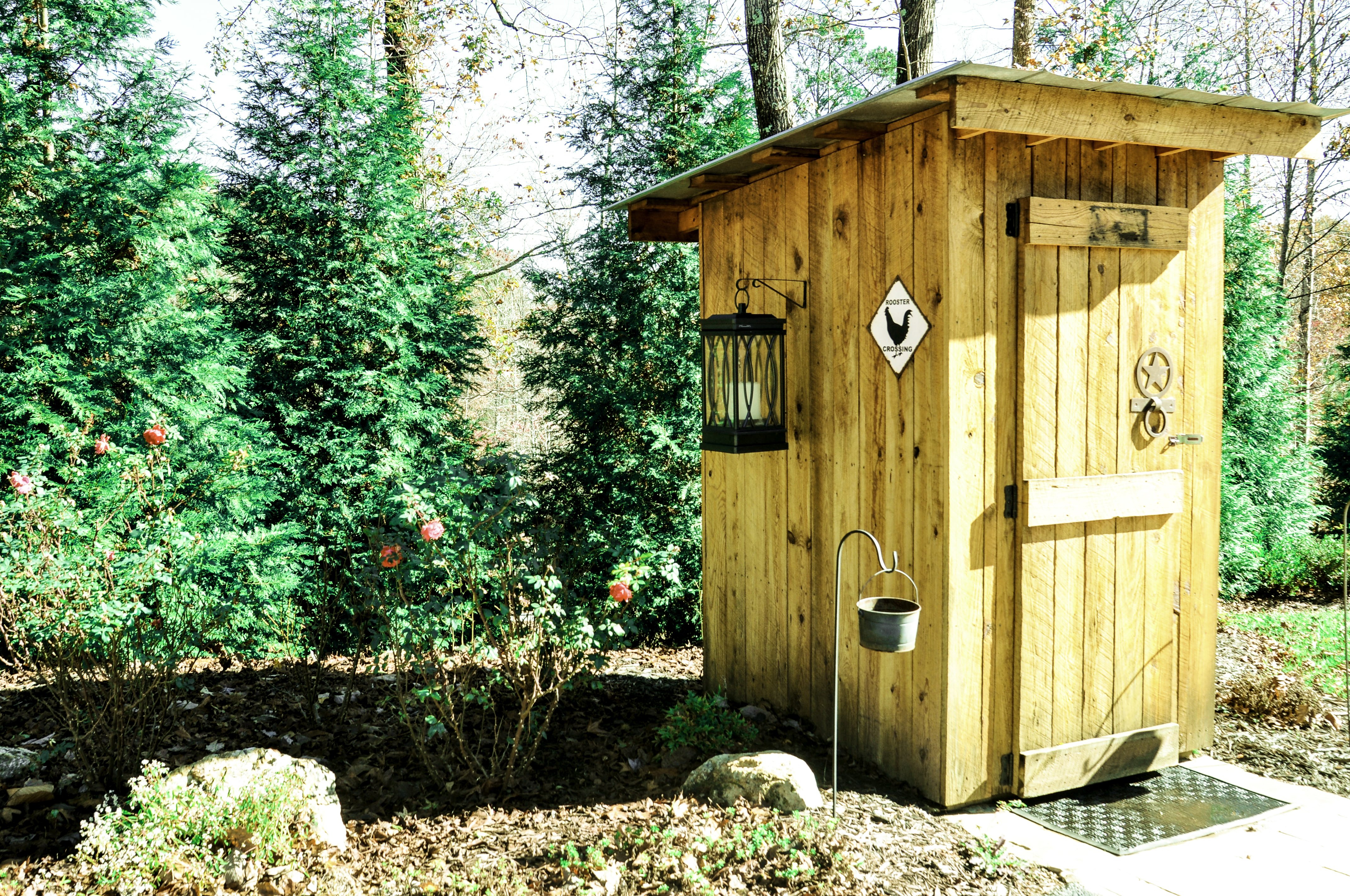 Dsc 0102 In The Woods Weddings Events